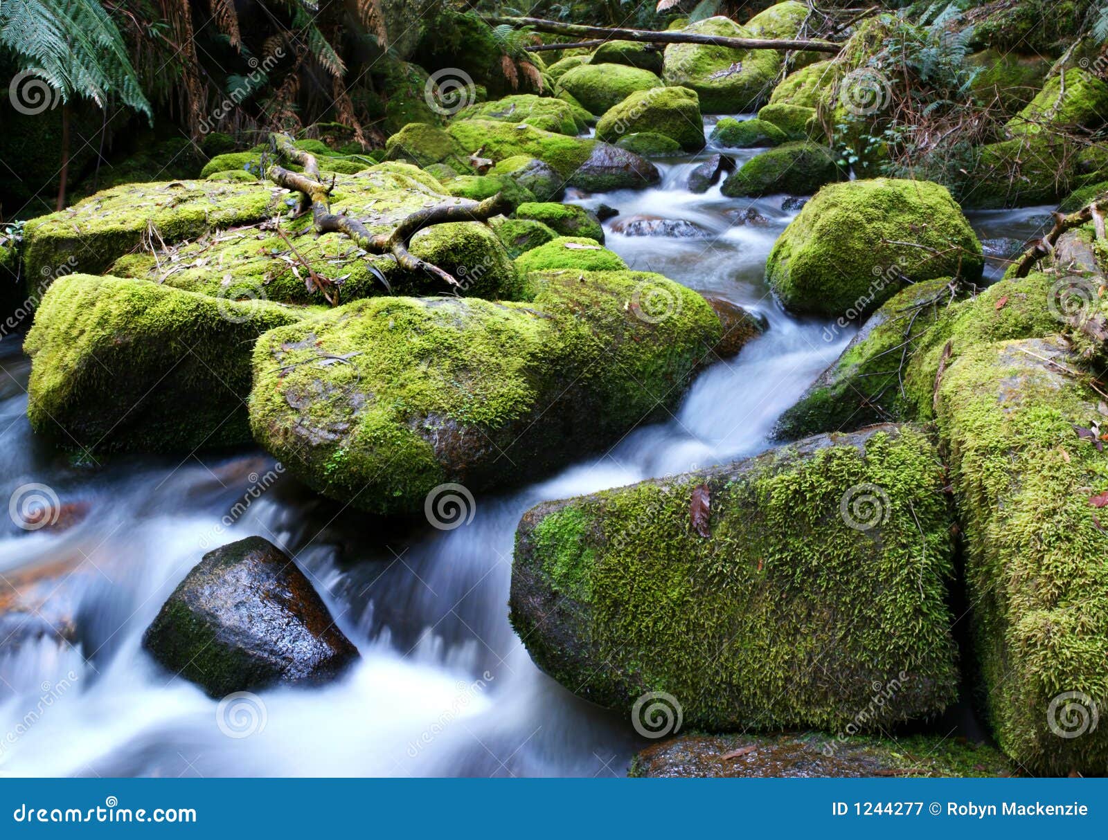 Fiume Che Funziona Sopra Le Rocce Muscose Immagine Stock - Immagine di ...