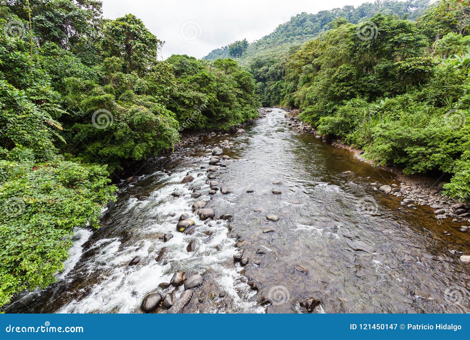 Fiume Con Acqua Pulita E Cristallina Immagine Stock - Immagine di ...