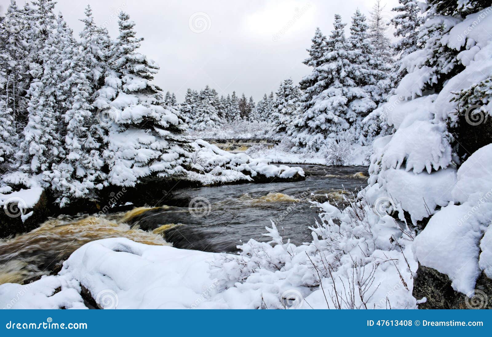 Fiume Del Canada Della Neve Di Inverno Fotografia Stock - Immagine di ...