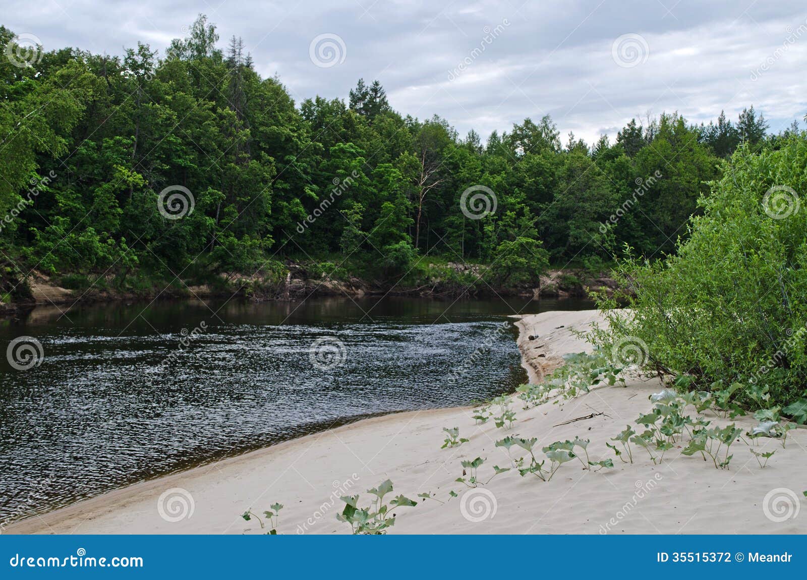 Fiume di Lukh (Russia) fotografia stock. Immagine di sabbia - 35515372