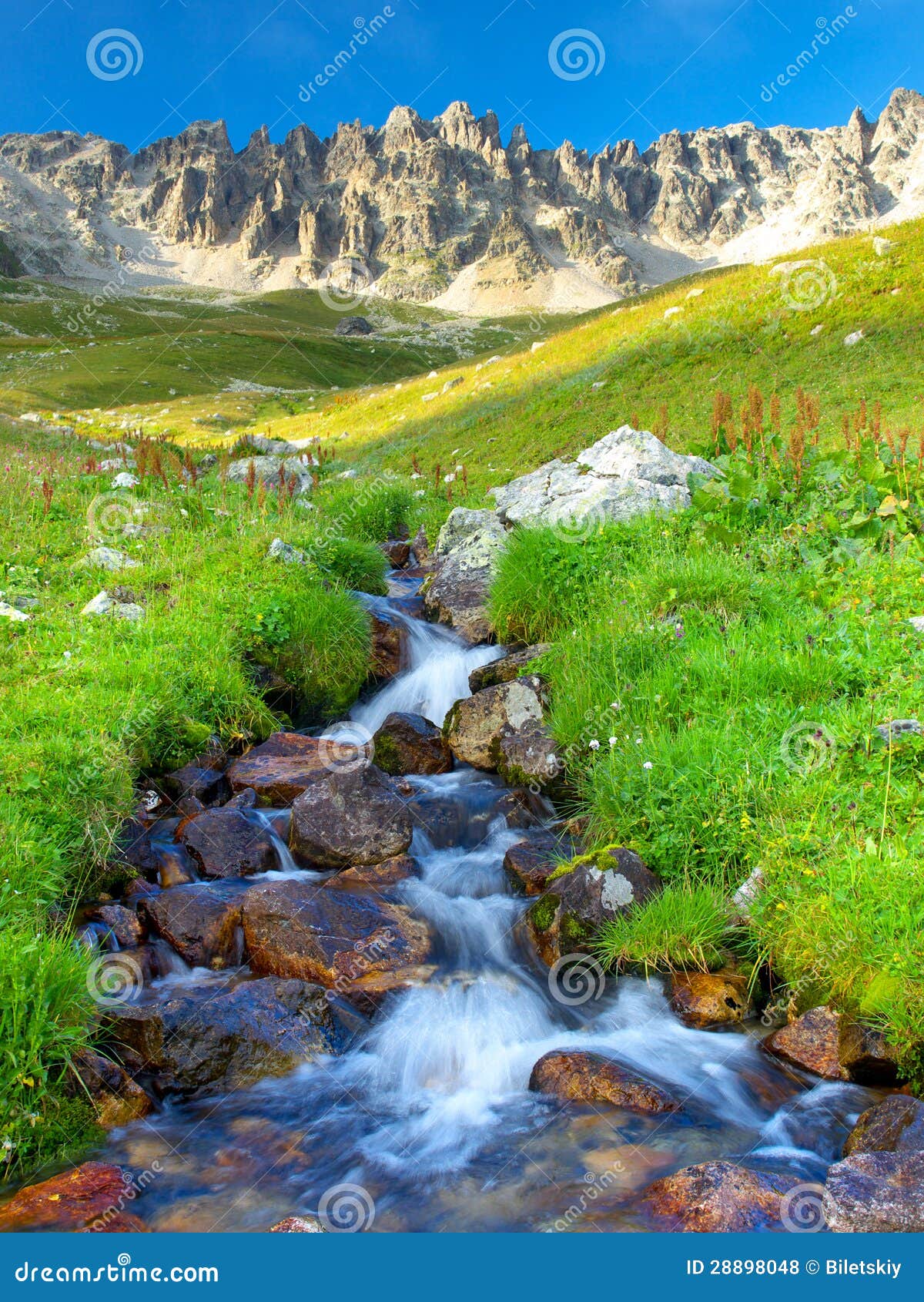 Fiume e cascate fotografia stock. Immagine di muschio - 28898048