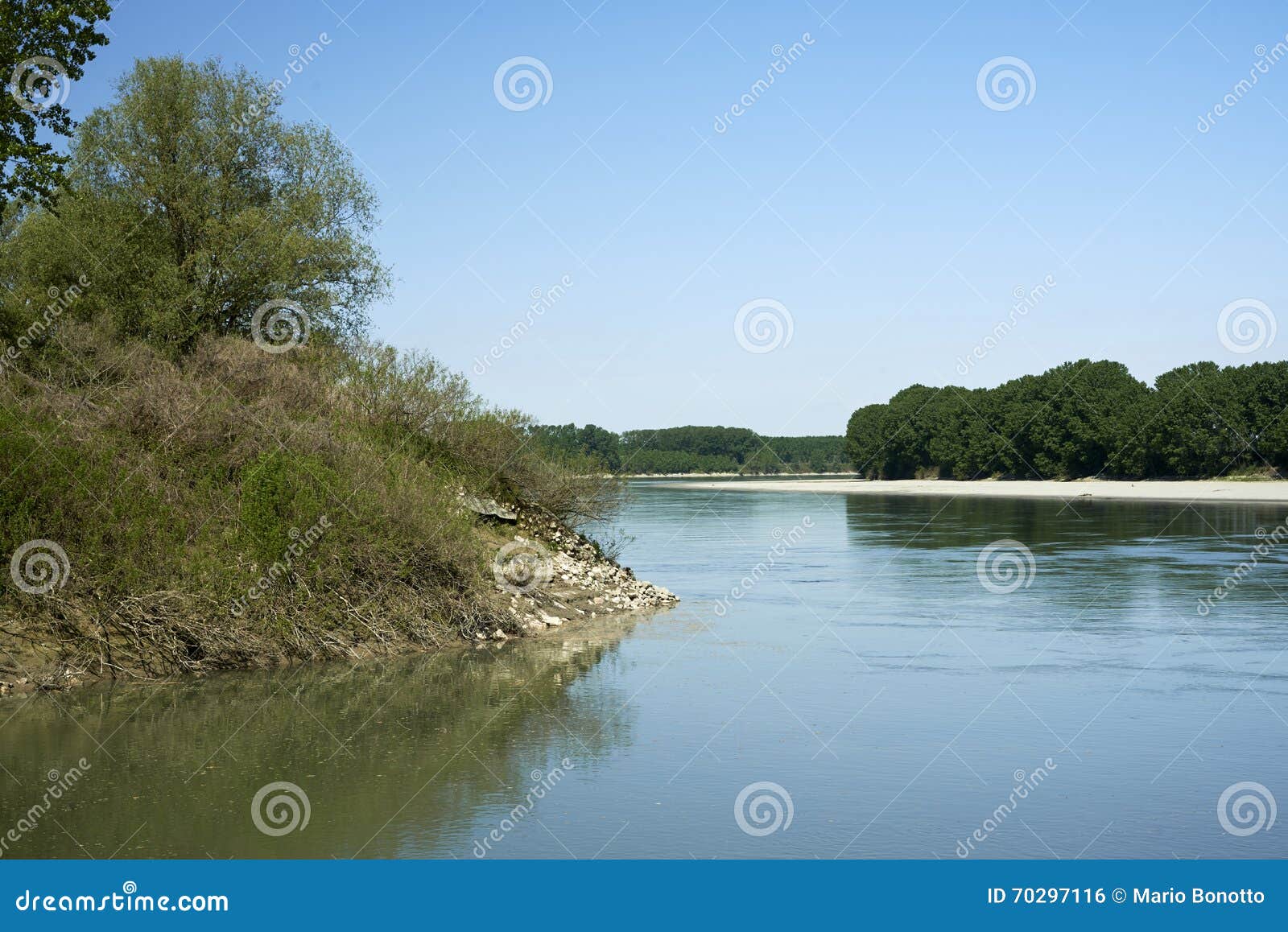Fiume parma stock photo. Image of nature, plant, poplar - 70297116