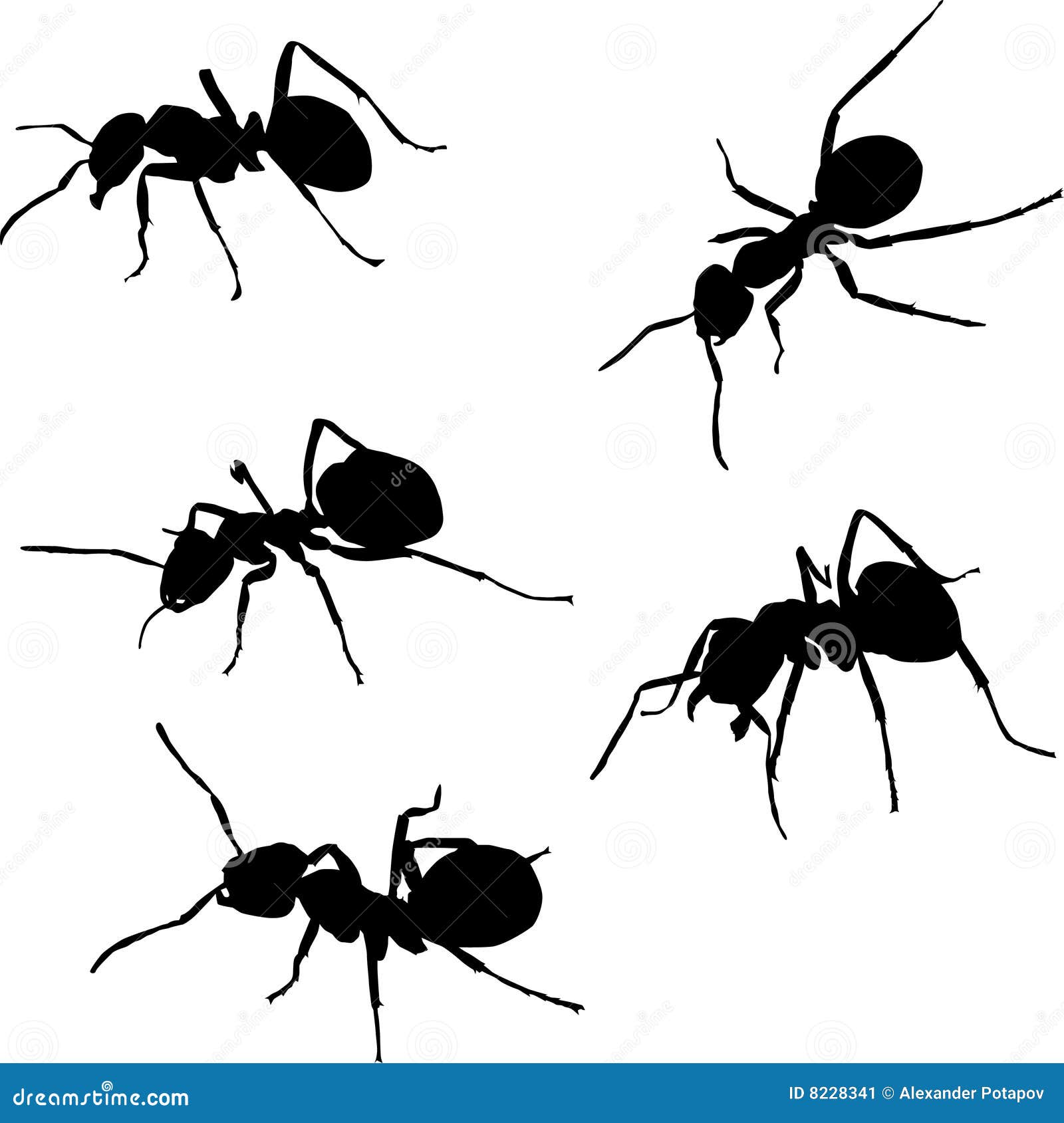 Five ant silhouettes stock illustration. Illustration of symbol - 8228341