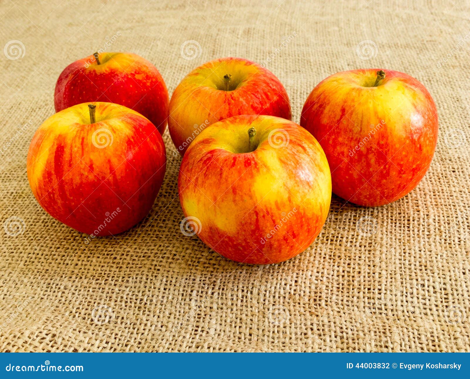 Five Apples Against a Canvas Stock Photo - Image of five, refreshment ...