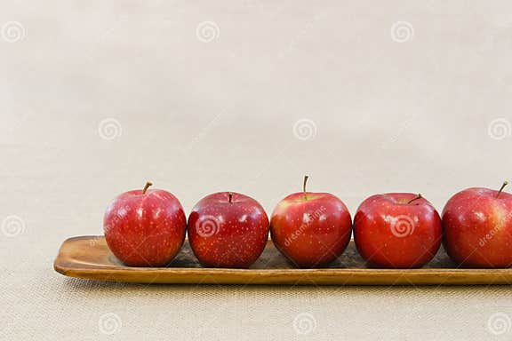 Five apples in a row stock photo. Image of sweet, delicious - 16515846