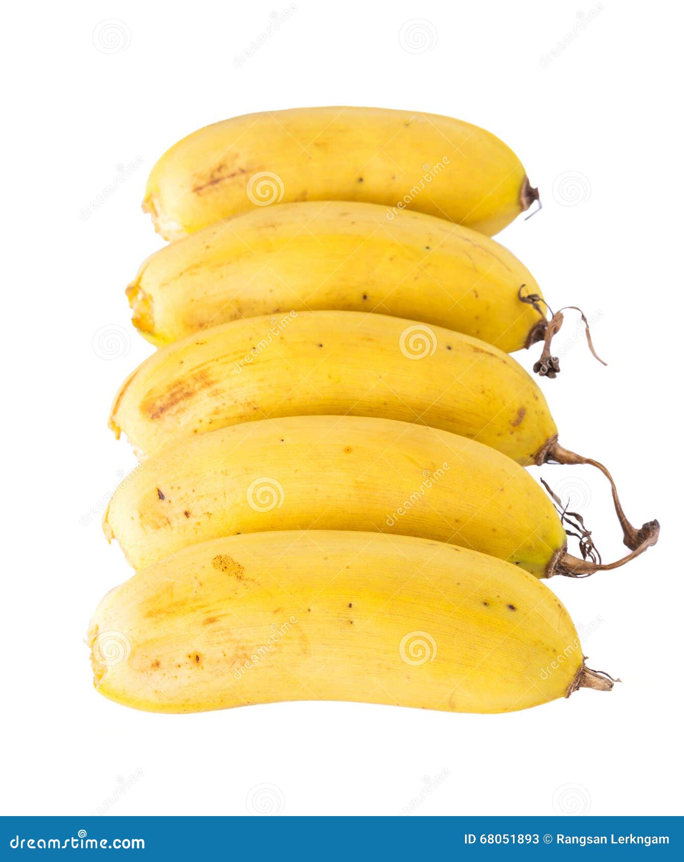 Five Bananas Results Placed Stock Image - Image of ripe, freshness ...