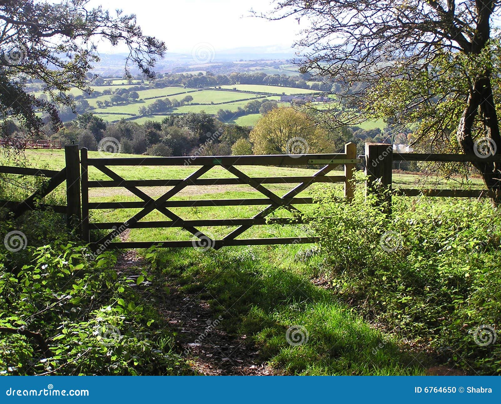 Five Bar Gate with a Country View Stock Photo - Image of nettles, view ...