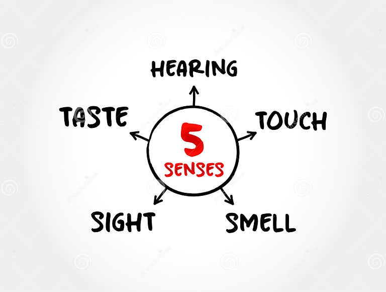 Five Basic Human Senses: Touch, Sight, Hearing, Smell and Taste, Mind ...
