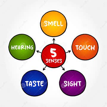 Five Basic Human Senses: Touch, Sight, Hearing, Smell and Taste, Mind ...
