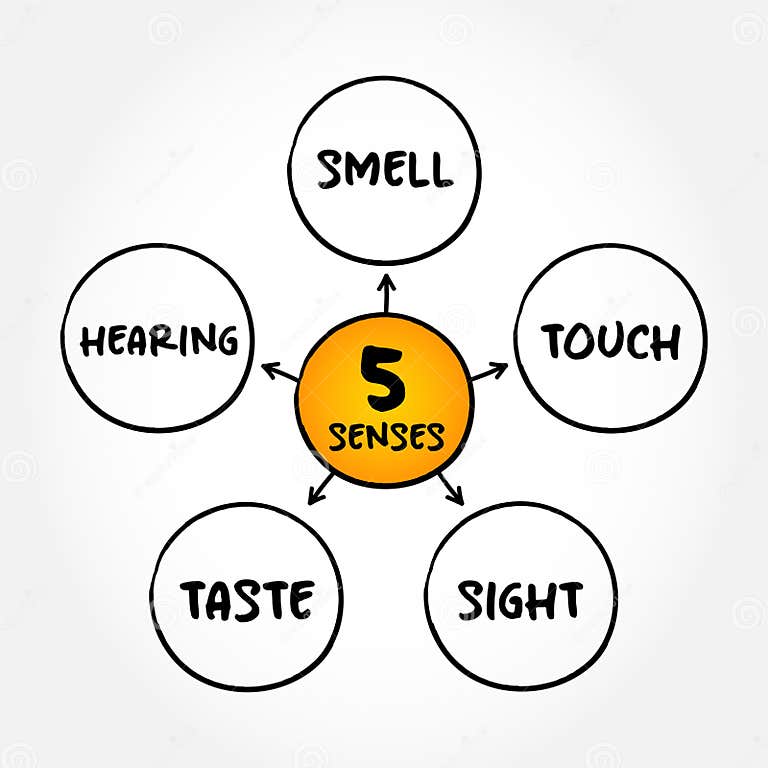 Five Basic Human Senses: Touch, Sight, Hearing, Smell and Taste, Mind ...