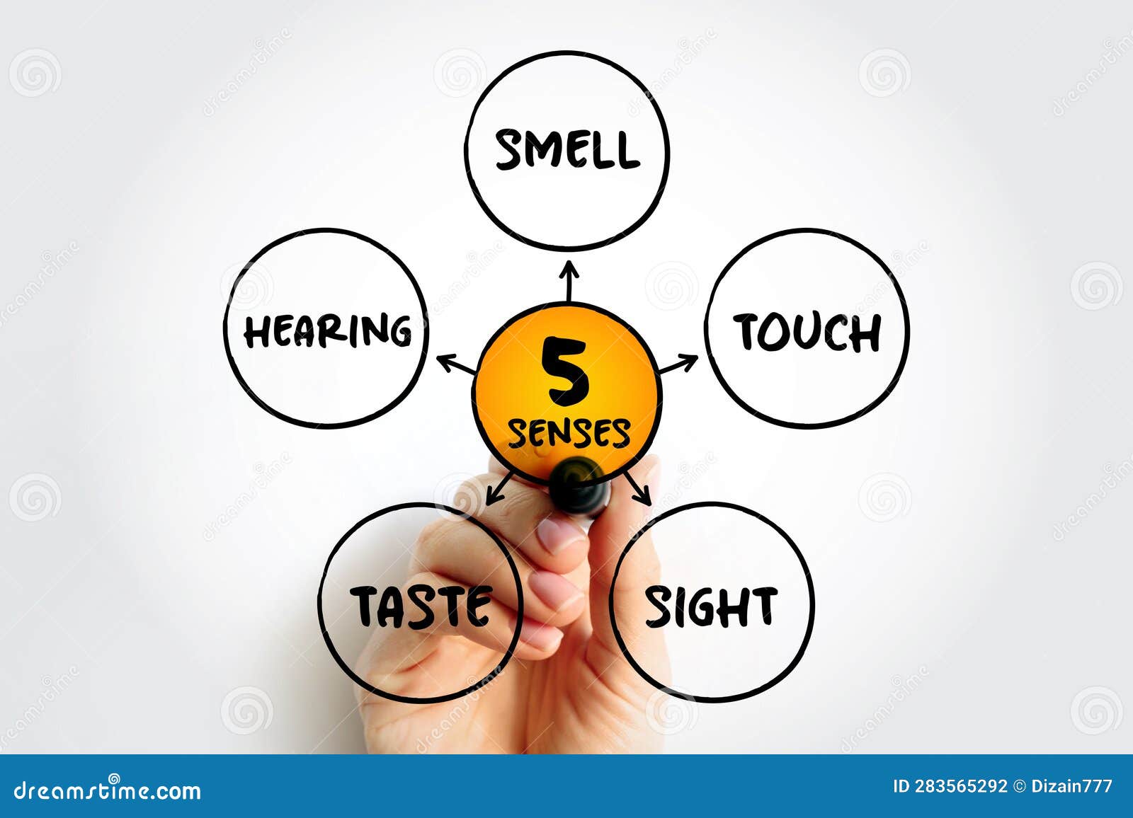 Five Basic Human Senses: Touch, Sight, Hearing, Smell and Taste, Mind ...