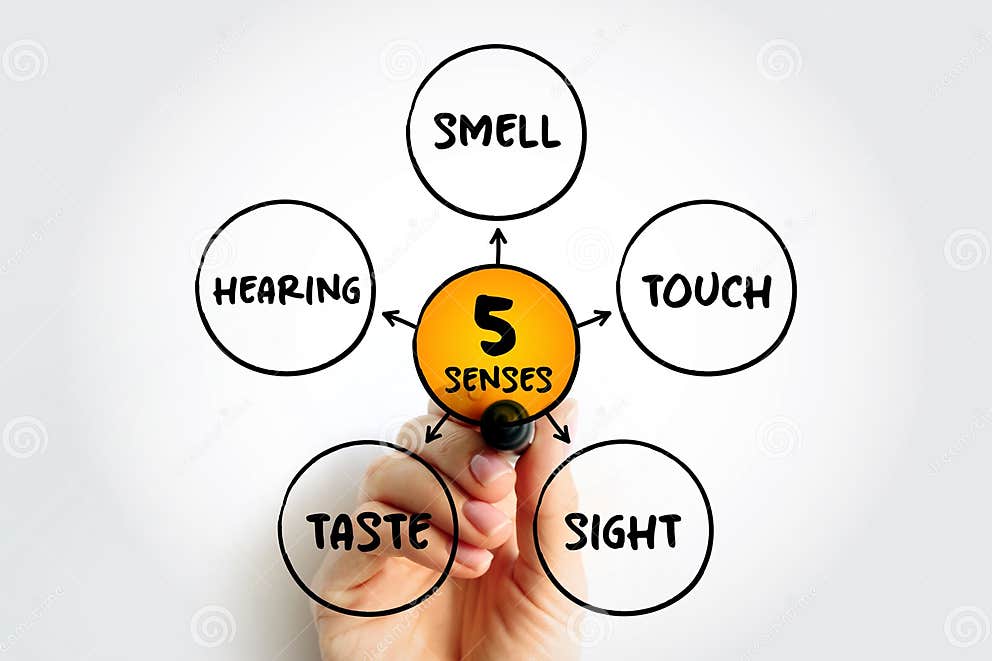 Five Basic Human Senses: Touch, Sight, Hearing, Smell and Taste, Mind ...