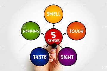 Five Basic Human Senses: Touch, Sight, Hearing, Smell and Taste, Mind ...