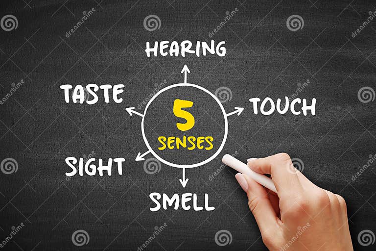 Five Basic Human Senses: Touch, Sight, Hearing, Smell and Taste, Mind ...