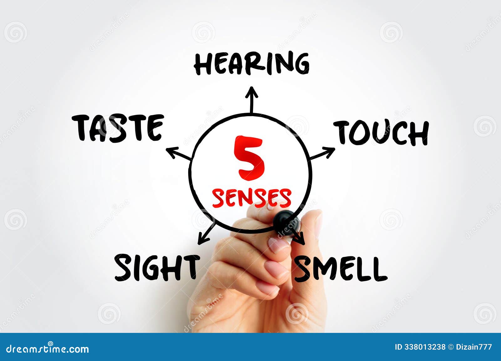 Five Basic Human Senses: Touch, Sight, Hearing, Smell and Taste, Mind ...