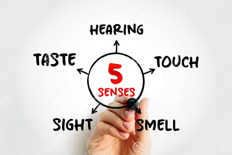 Five Basic Human Senses: Touch, Sight, Hearing, Smell and Taste, Mind ...