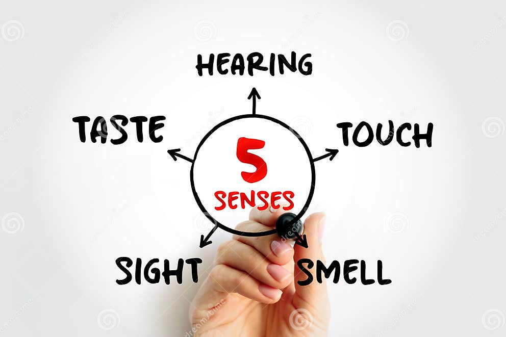 Five Basic Human Senses: Touch, Sight, Hearing, Smell and Taste, Mind ...
