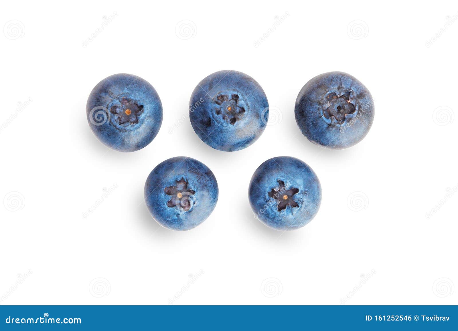 Five Blueberries Isolated on White Background. Stock Photo - Image of ...
