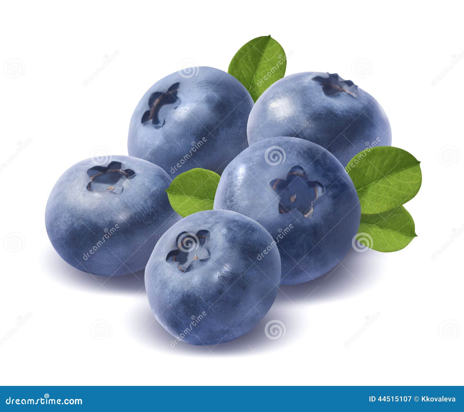 Five Blueberries on White Background Stock Image - Image of nutrition ...