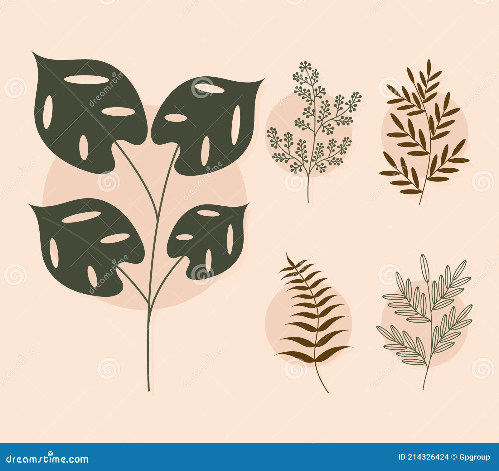 Five botanical icons stock vector. Illustration of aesthetics - 214326424