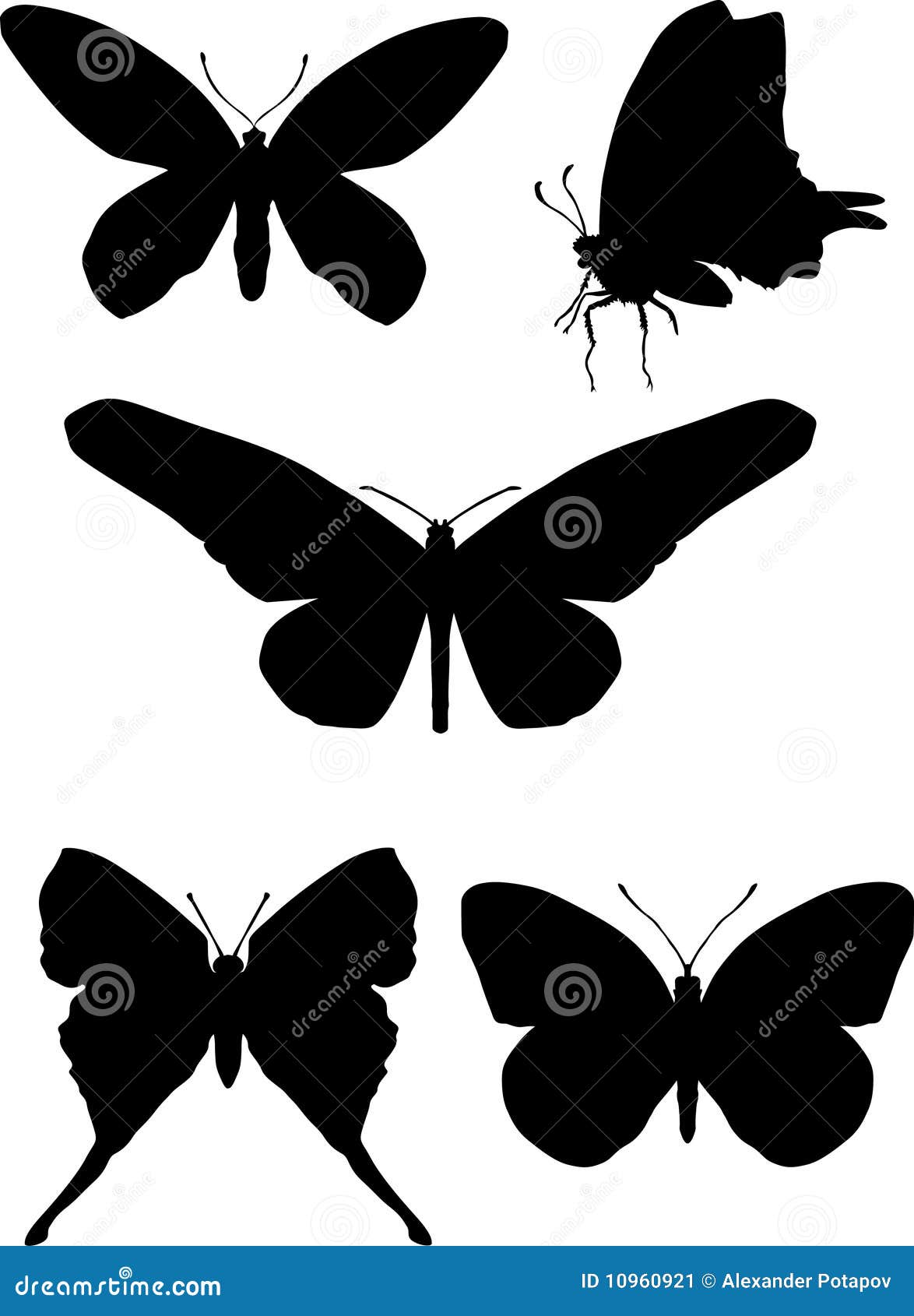 Five Butterfly Silhouettes Set Stock Illustration - Illustration of ...