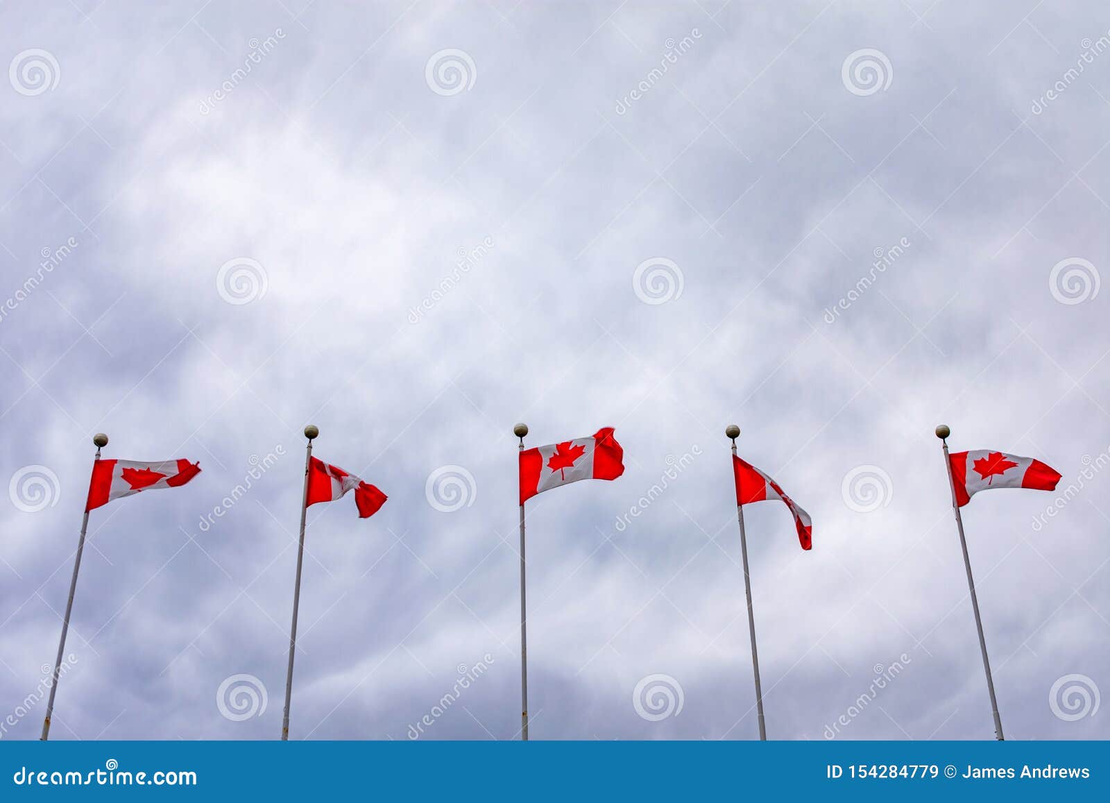 Five Canadian Flags on Poles Flapping in the Wind on a Cloudy Day Stock ...