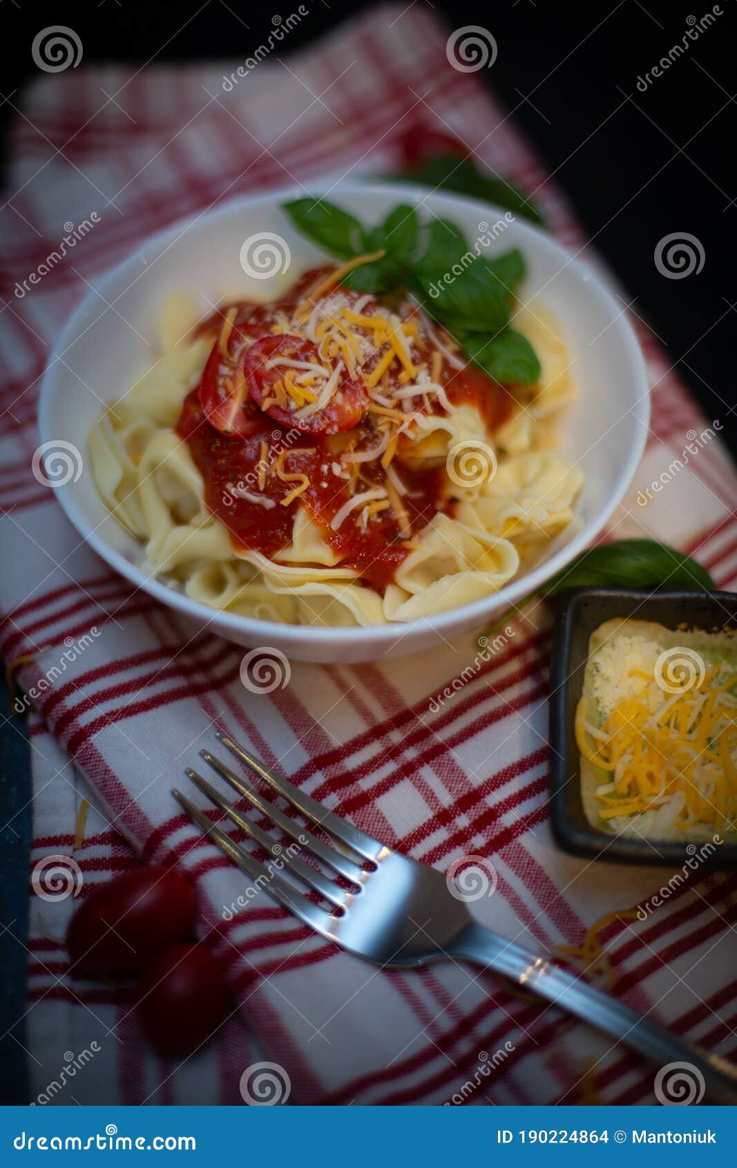 Five Cheeses Ravioli with Marinara Souse Stock Photo - Image of souse ...