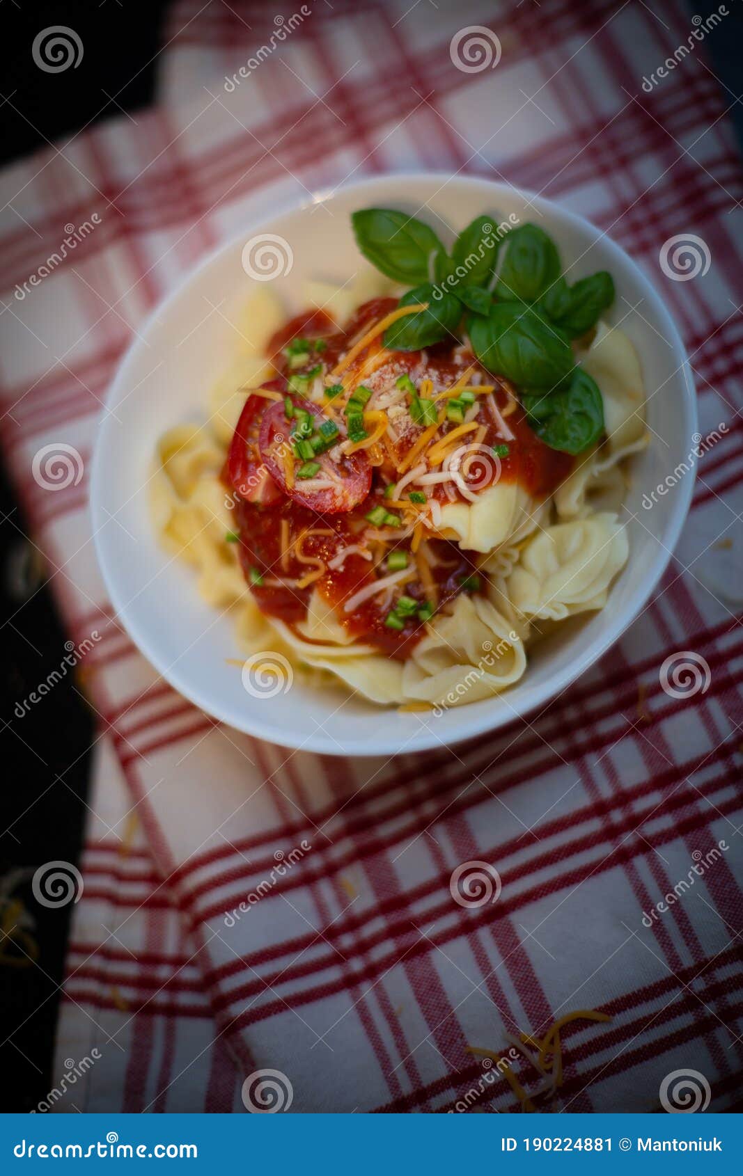 Five Cheeses Ravioli with Marinara Souse Stock Image - Image of cheeses ...