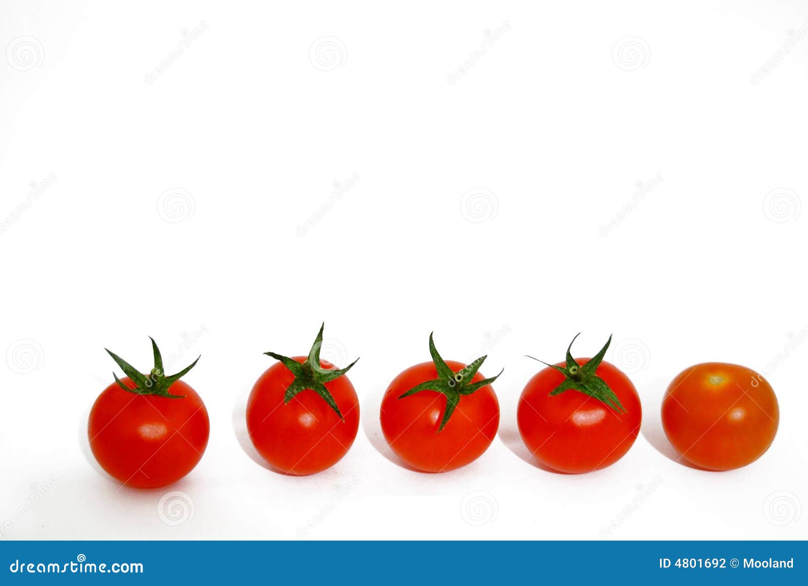 Five cherry tomatoes stock photo. Image of kitchen, farming - 4801692
