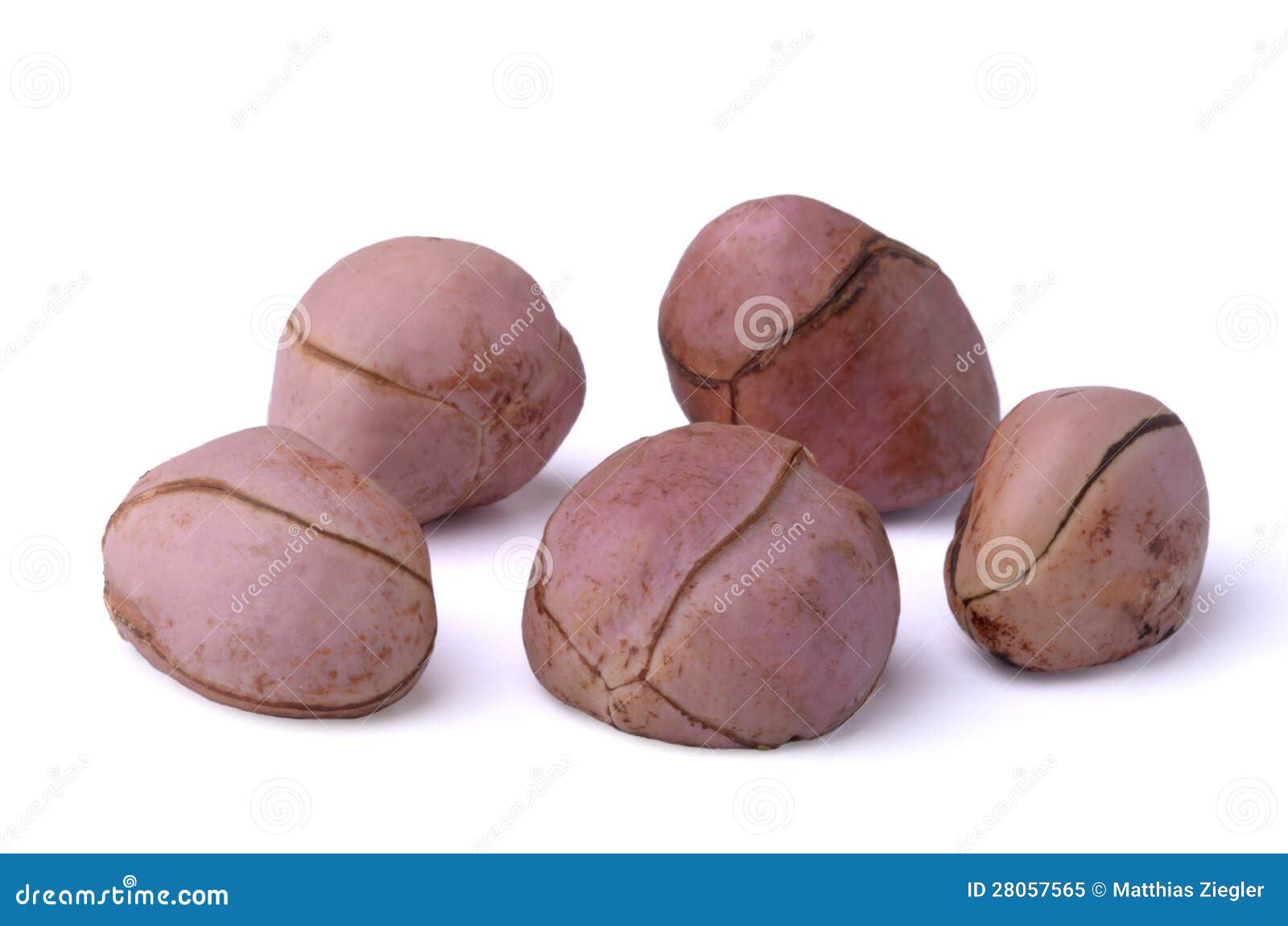 Five Cola Nuts Photos - Free & Royalty-Free Stock Photos from Dreamstime