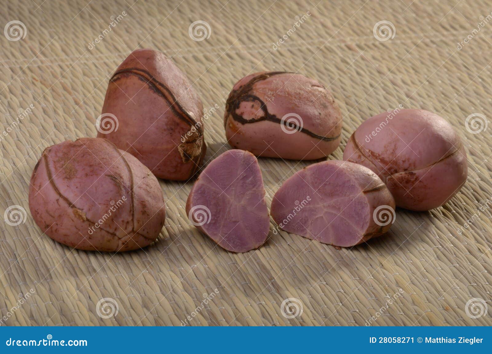 Five cola nuts on mat stock image. Image of theobromine - 28058271