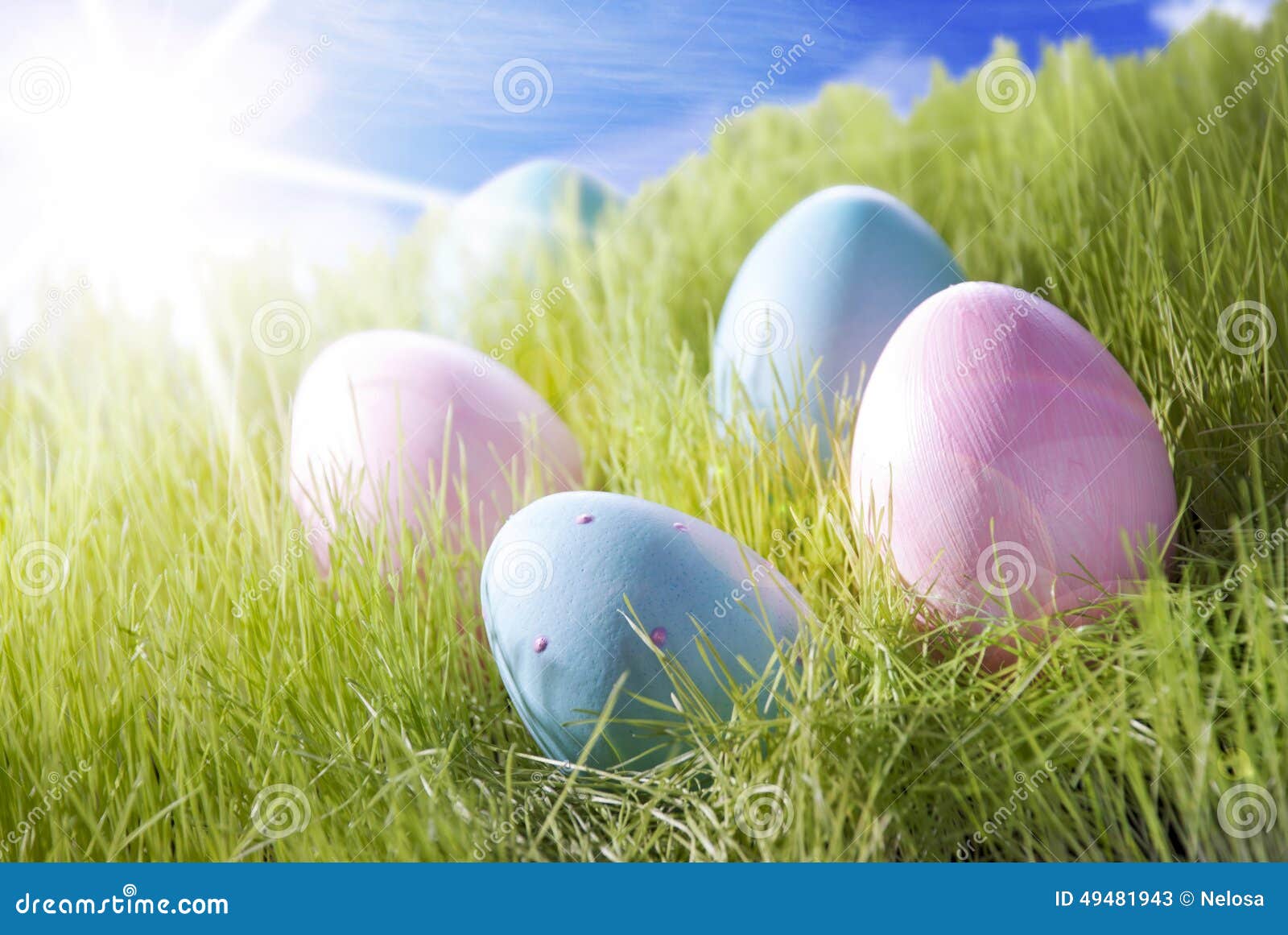 Five Colorful Easter Eggs on Sunny Grass Stock Image - Image of color ...