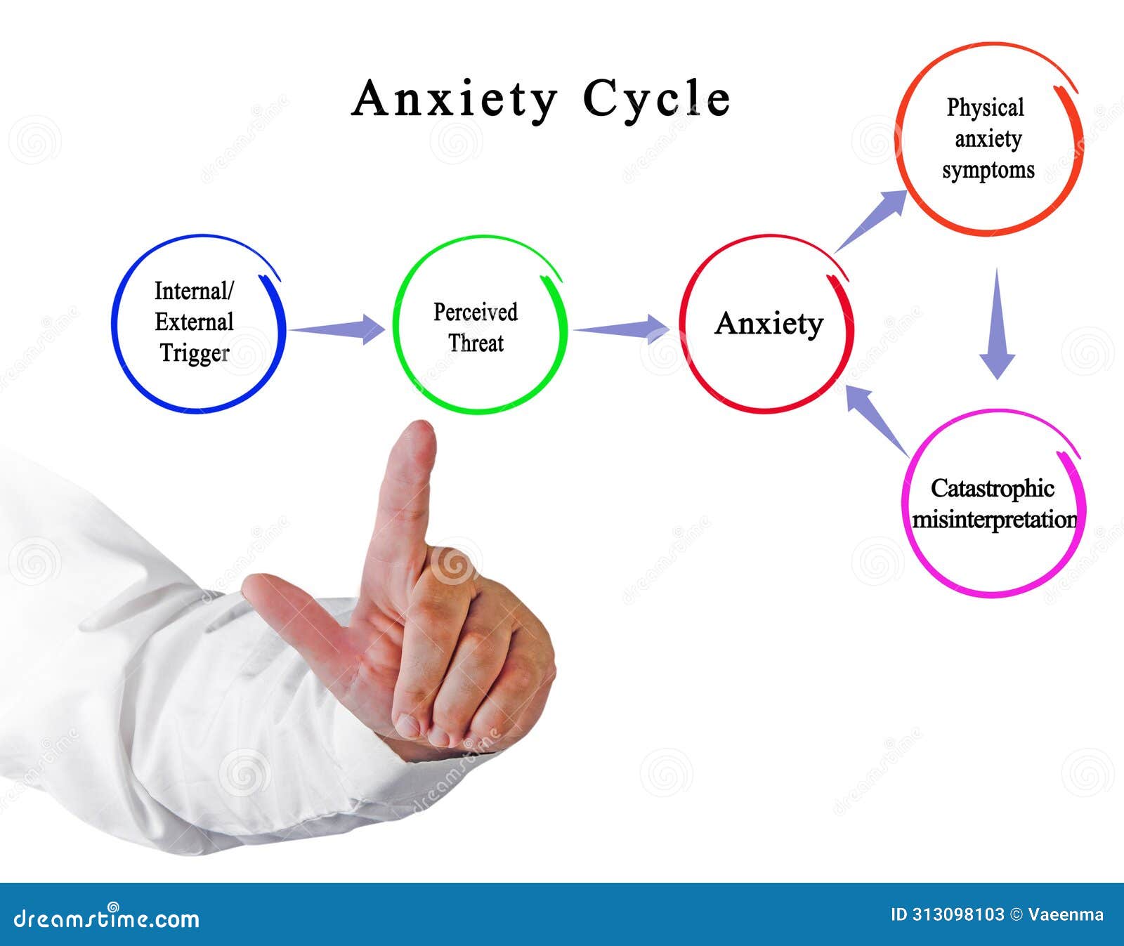 Cycle Of Anxiety And Compulsion Royalty-Free Stock Photography ...