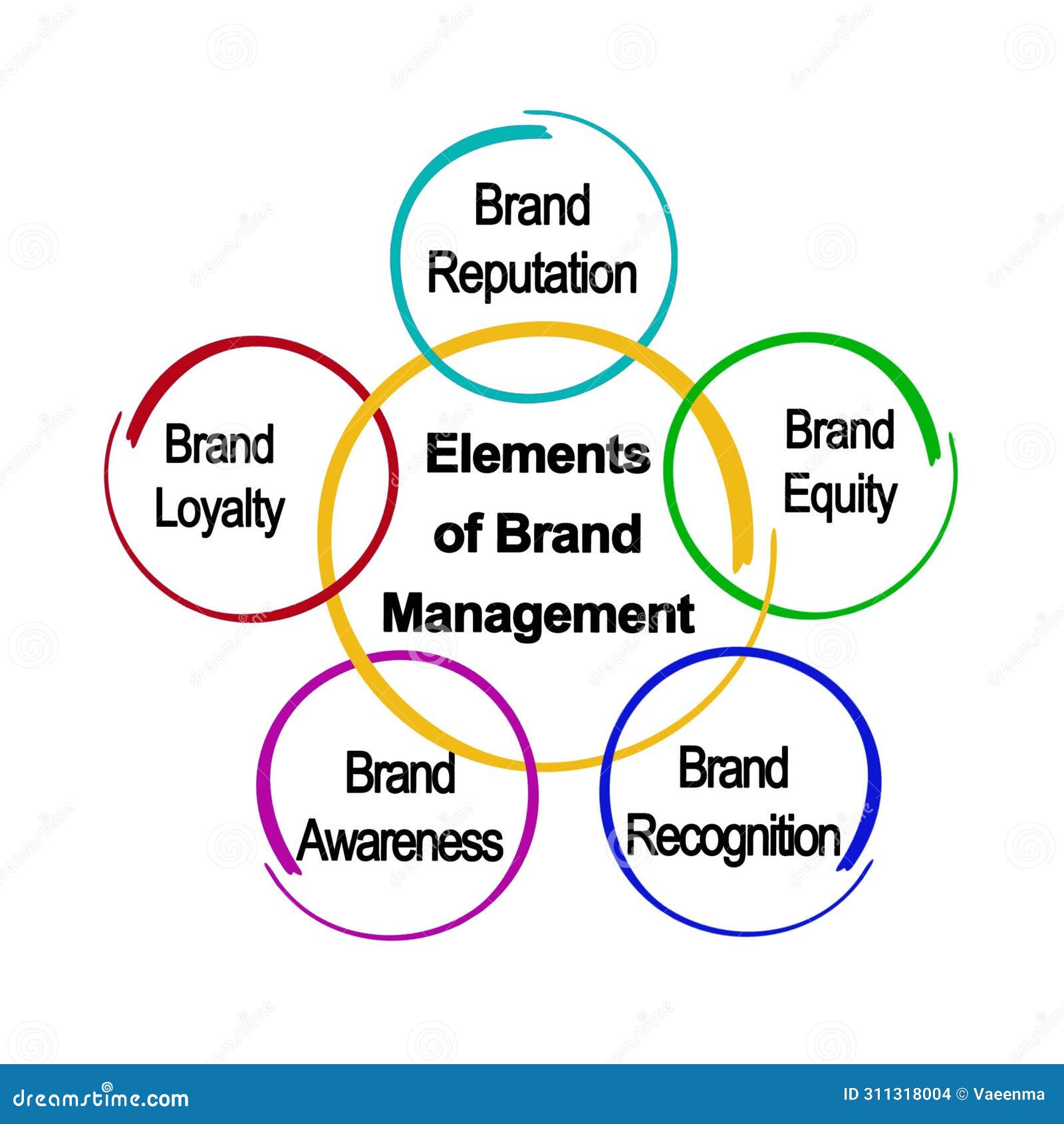 Components of Brand Management Stock Illustration - Illustration of ...
