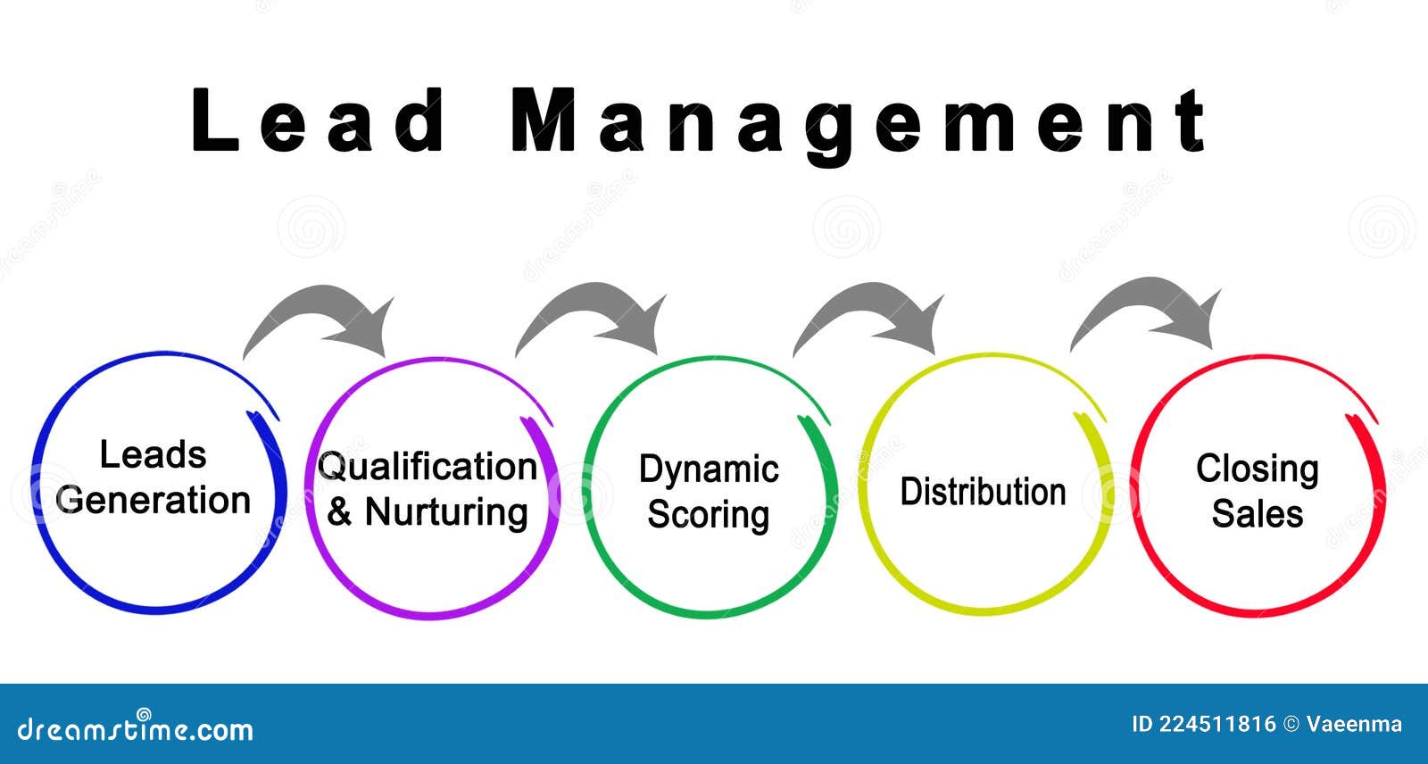 Components of Lead Management Stock Illustration - Illustration of ...