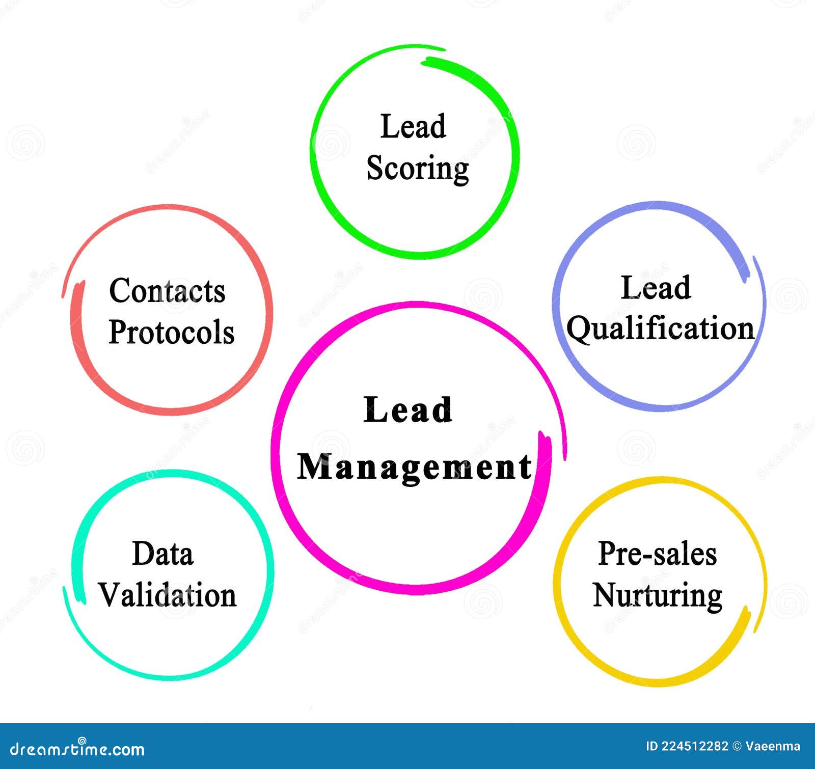 Components of Lead Management Stock Illustration - Illustration of ...