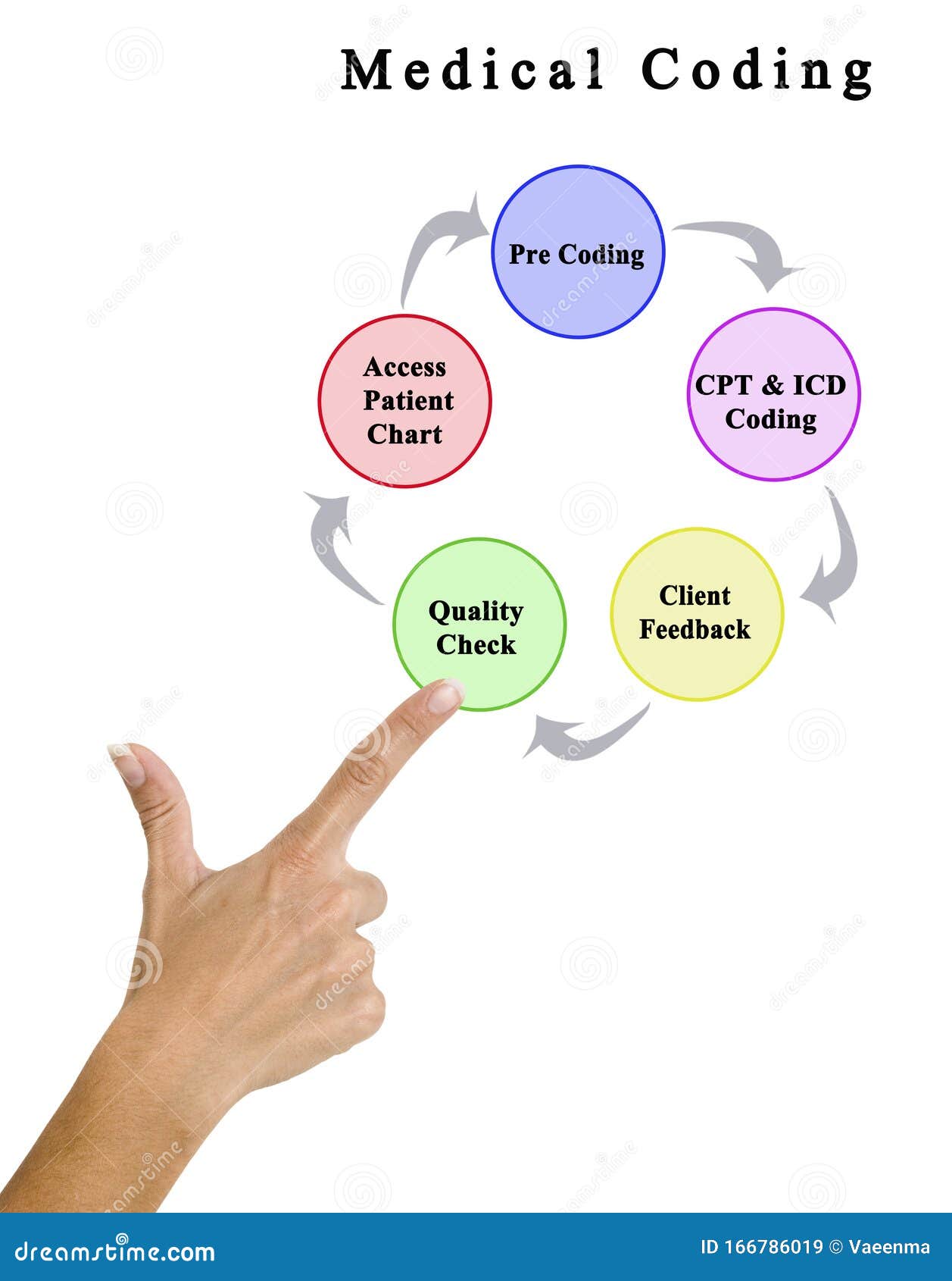 Components Of Medical Device For Ventilating Lungs In Hospital Stock ...