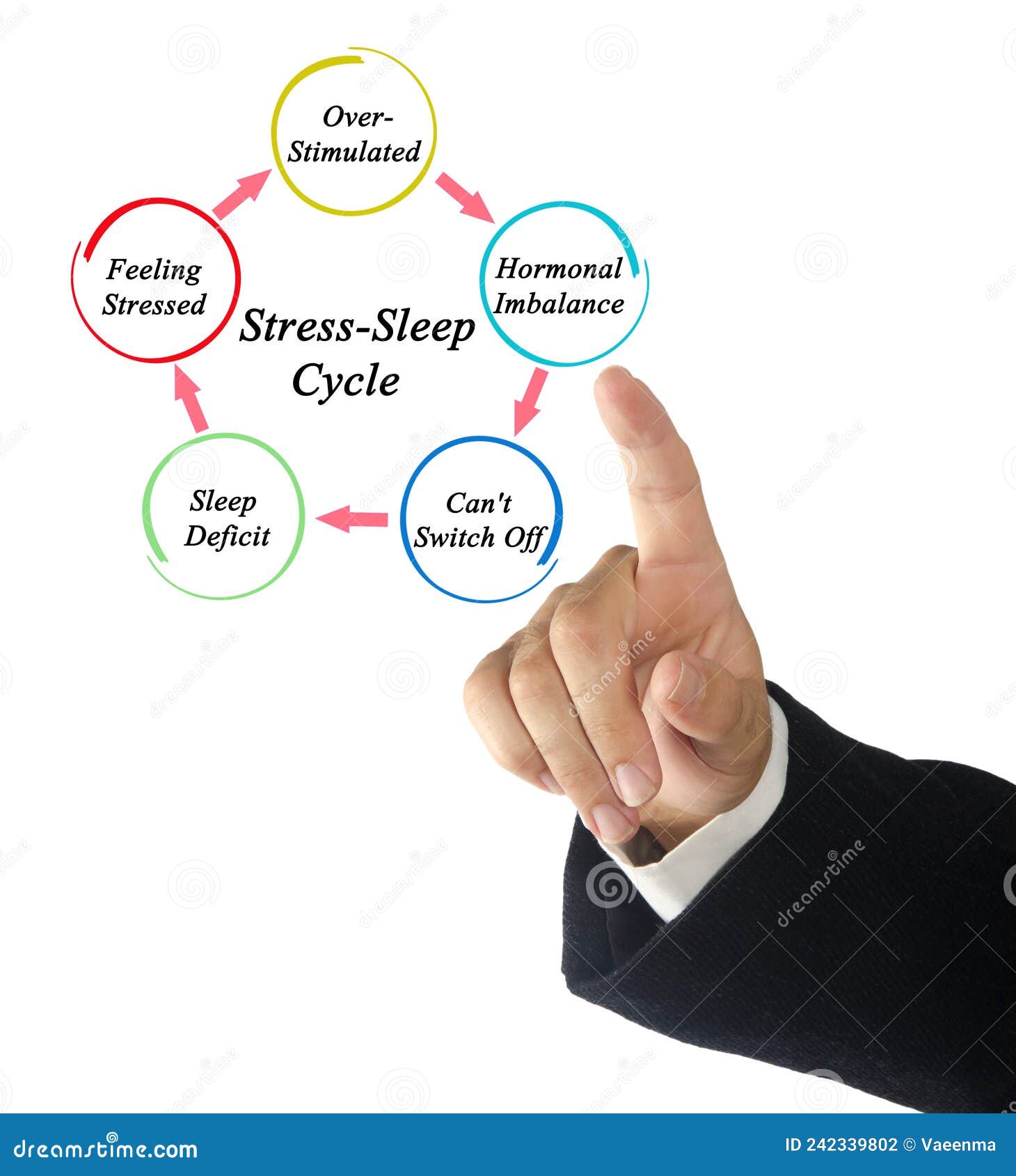 Components Of Stress-Sleep Cycle Stock Photo | CartoonDealer.com #242339802