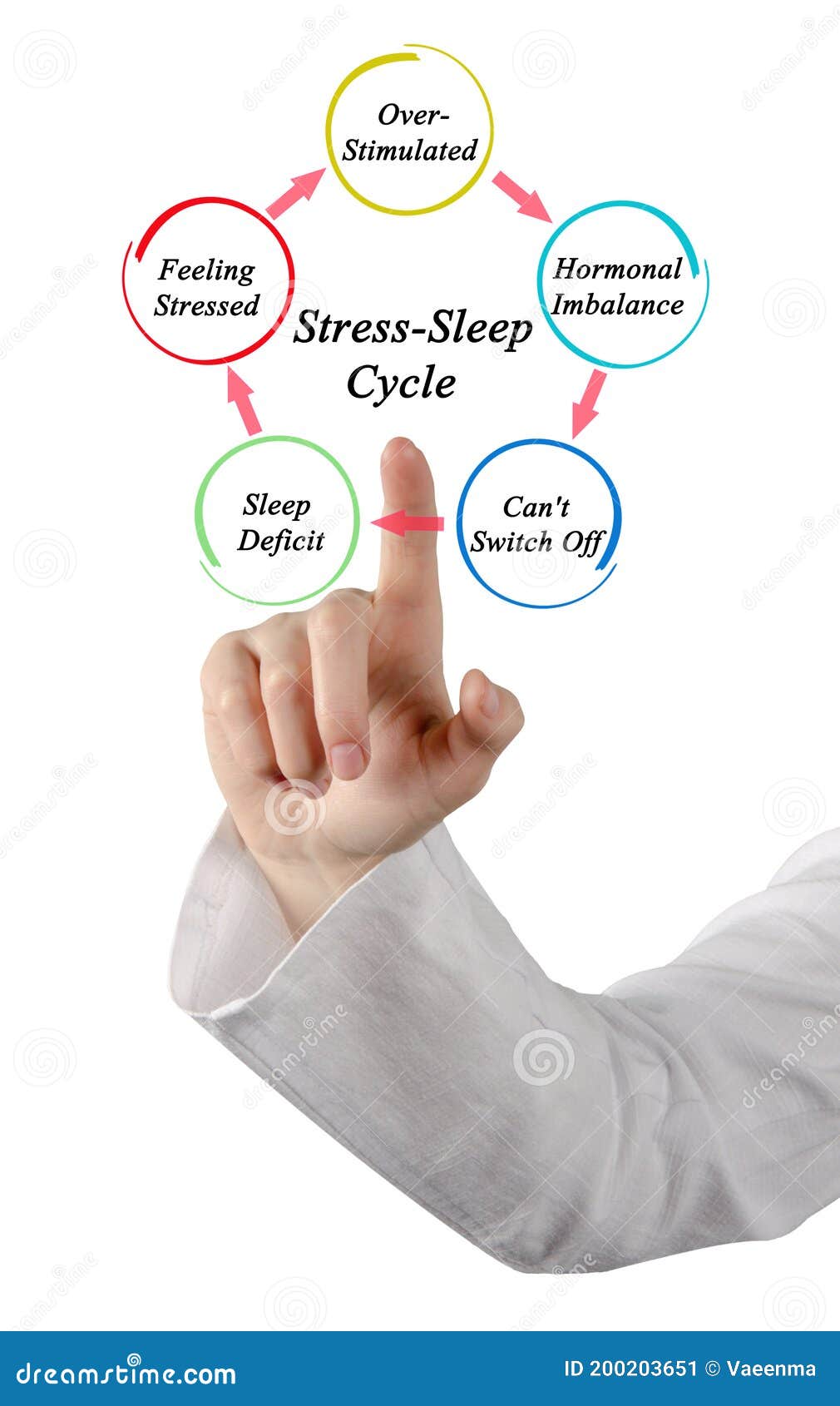 Components of Stress-Sleep Cycle Stock Image - Image of science ...