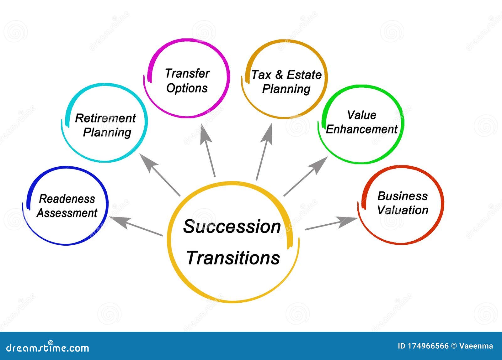 Components of Succession Transitions Stock Illustration - Illustration ... Components of Succession Transitions Stock Illustration - Illustration ...