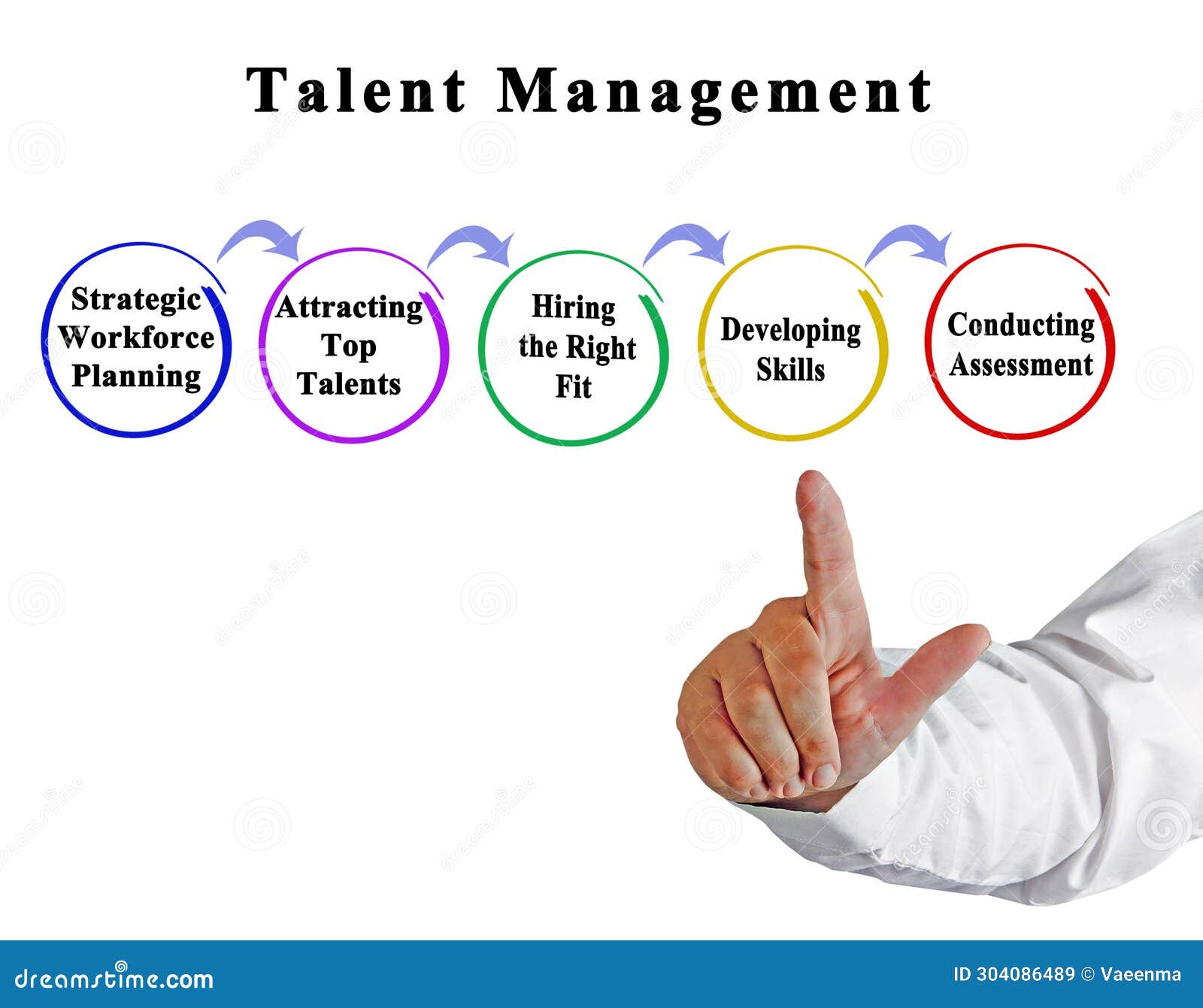 Components of Talent Management Stock Image - Image of developing ...