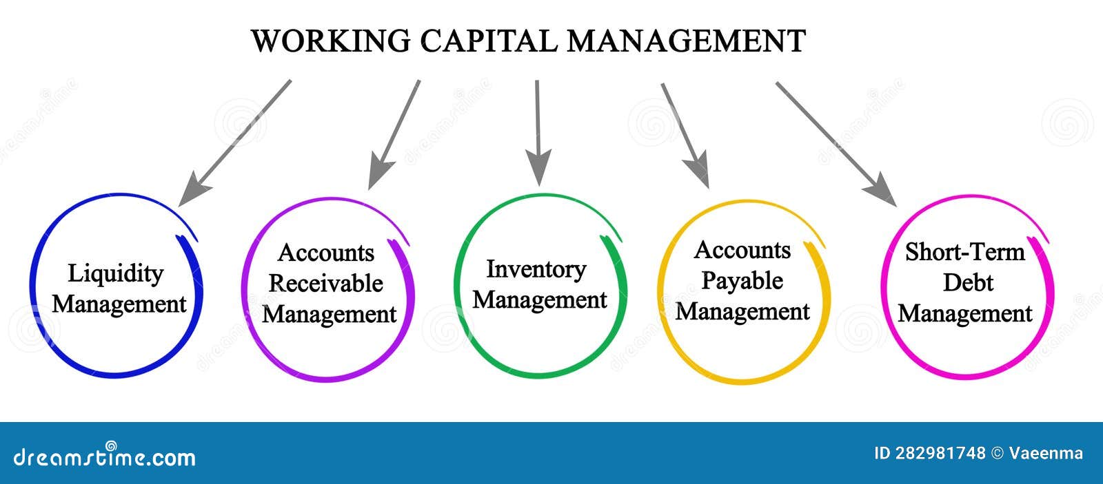 Components of Working Capital Management Stock Illustration ...