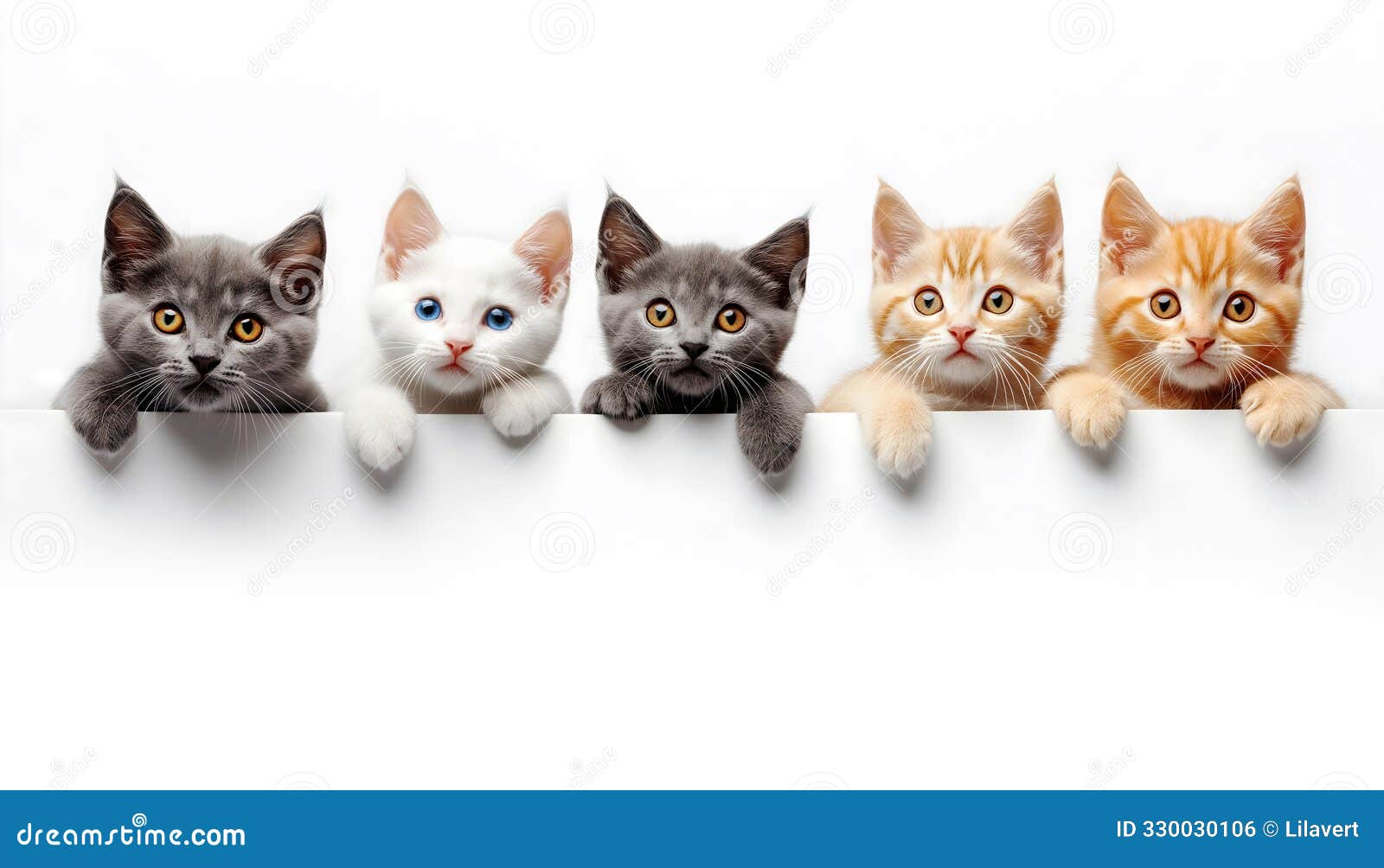 Cats Heads Faces Emoticons Vector Illustration Set | CartoonDealer.com ...