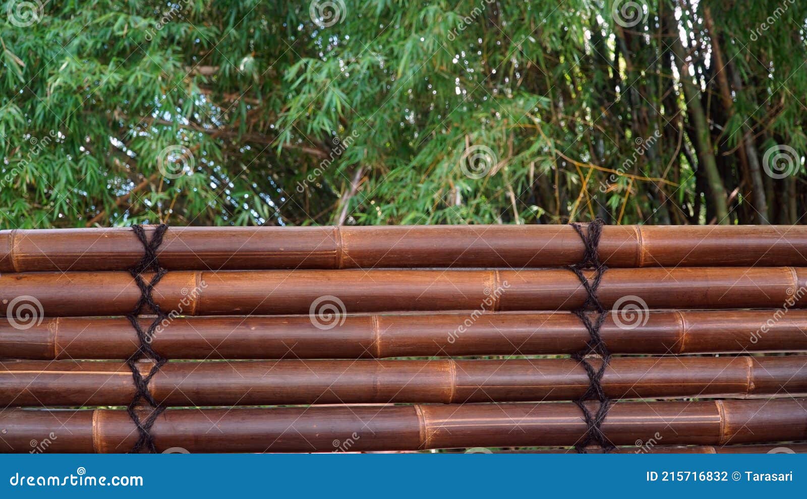 Five Dark Brown Bamboos with Black Ropes, Blurred Background of Bamboo ...