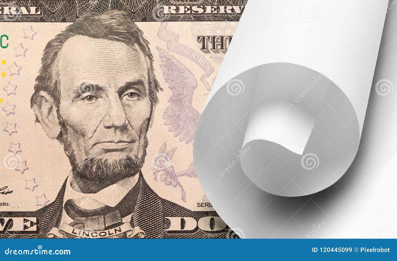 White Scroll Algae Padina Jamaicensis Stock Image | CartoonDealer.com ...