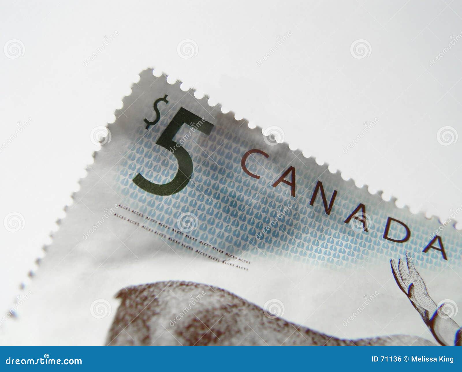 Five Dollar Stamp Stock Photos - Free & Royalty-Free Stock Photos from ...