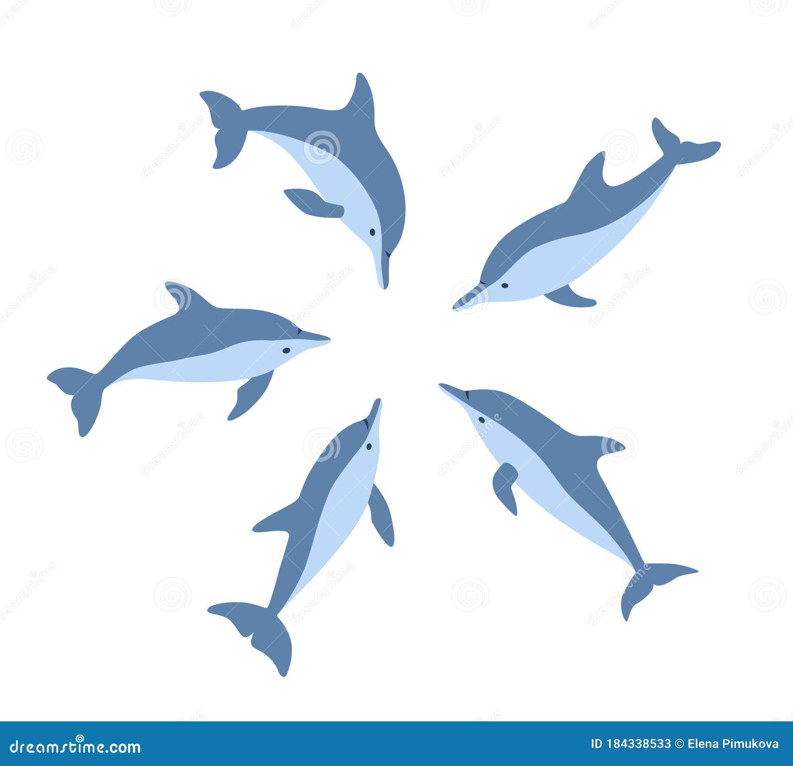 Five Dolphins in a Circle Look at One Place. Isolated Vector ...