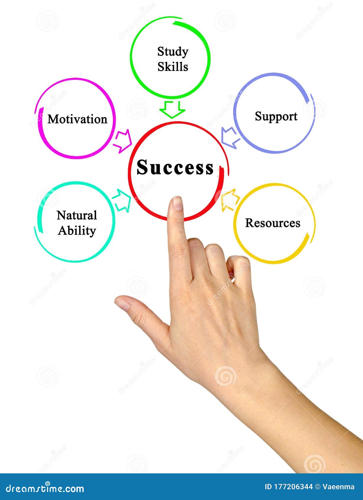 Five drivers of success stock photo. Image of ability - 177206344