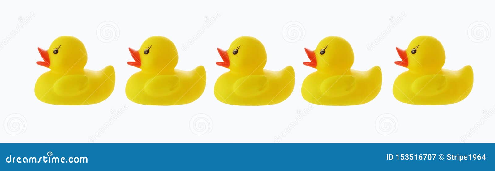 Five Ducks in a Row with Clipping Path Stock Image - Image of children ...