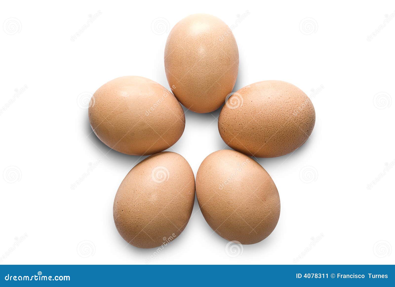 FIVE EGGS Stock Image - Image: 4078311